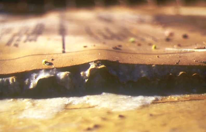Waterproofing of pools and tanks - Torino - Italy | Volteco